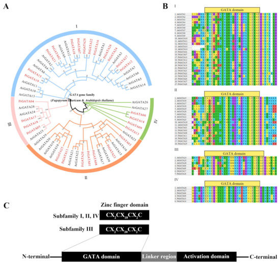 Genome-Wide Identification, Evolution, and Expression Pattern Analysis ...