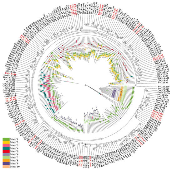 Genome-Wide Identification, Evolution, and Expression Pattern Analysis ...