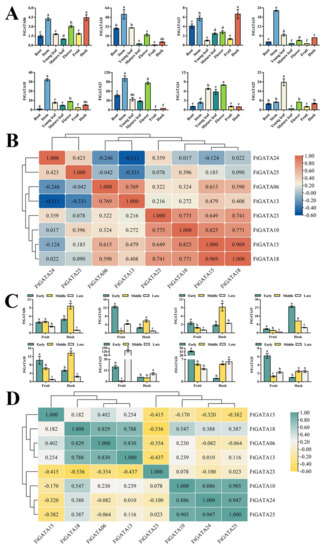 Genome-Wide Identification, Evolution, and Expression Pattern Analysis ...