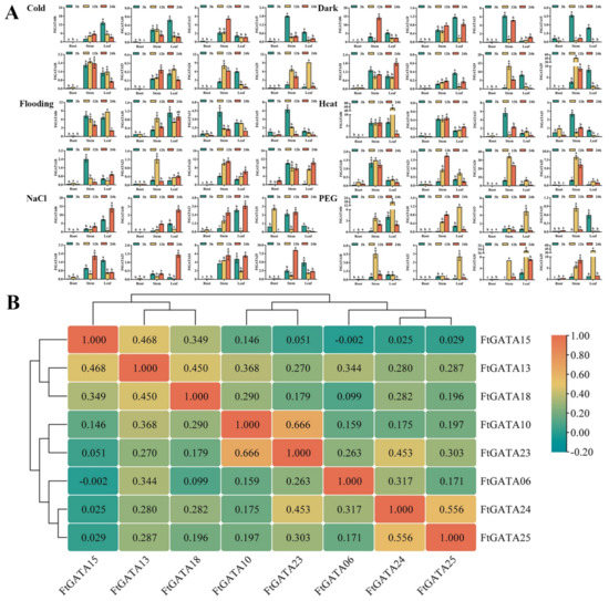 Genome-Wide Identification, Evolution, and Expression Pattern Analysis ...