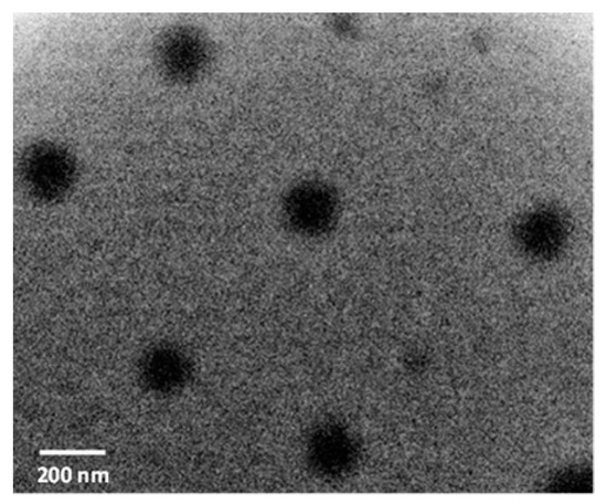 In Vitro Assessment of Poly-N-Vinylpyrrolidone/Acrylic Acid ...