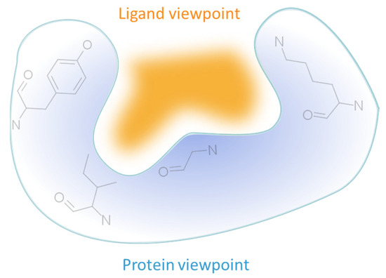 Estimating the Similarity between Protein Pockets