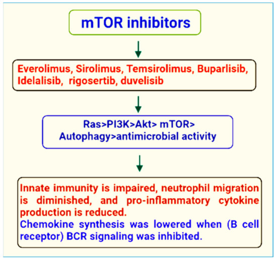 mTOR as a Potential Target for the Treatment of Microbial Infections ...