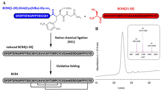 Ijms Free Full Text Aphid Bcr4 Structure And Activity Uncover A New
