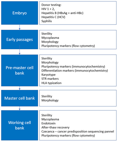 The Manufacture of Xeno- and Feeder-Free Clinical-Grade Human Embryonic ...