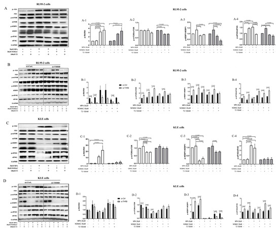 Thyroid Hormone Receptor β Knockdown Reduces Suppression of Progestins ...