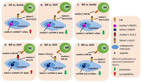 ERAP/HLA-C and KIR Genetic Profile in Couples with Recurrent ...