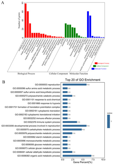 Identification and Investigation of the Genetic Variations and ...