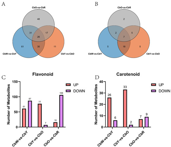 Transcriptome and Metabolome Analysis of Color Changes during Fruit ...