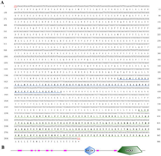 MnHR4 Functions during Molting of Macrobrachium nipponense by ...