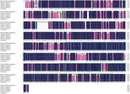 MnHR4 Functions during Molting of Macrobrachium nipponense by ...