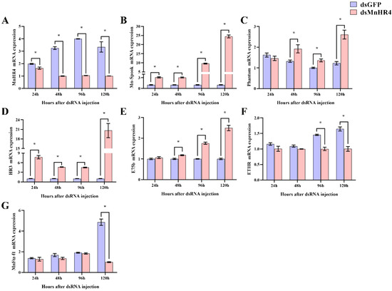 MnHR4 Functions during Molting of Macrobrachium nipponense by ...