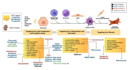 IJMS | Free Full-Text | The Molecular Mechanisms of Liver Fibrosis and Its Potential Therapy in ...