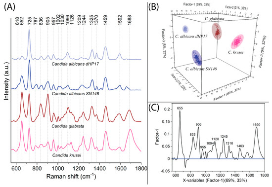 IJMS | Free Full-Text | SERS-PLSR Analysis of Vaginal Microflora ...
