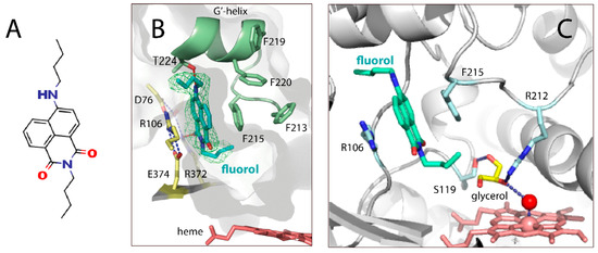 Crystal Structure of CYP3A4 Complexed with Fluorol Identifies the ...