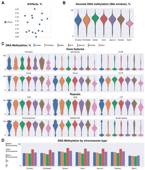 Single-Cell DNA Methylation Analysis of Chicken Lampbrush Chromosomes