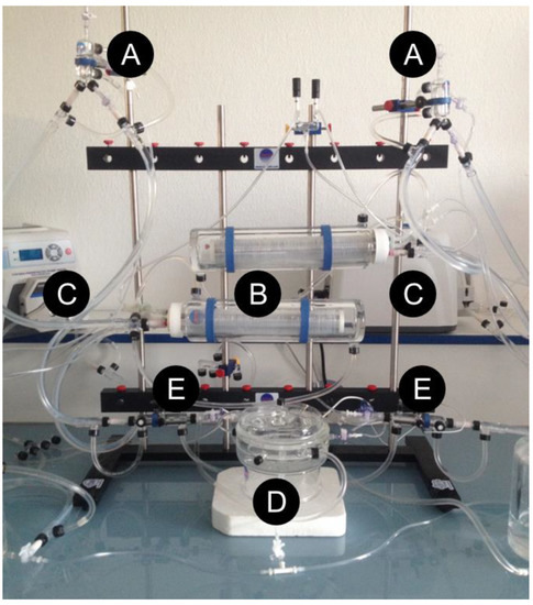 The Role of IGL-2 Preservation Solution on Rat Livers during SCS and HOPE