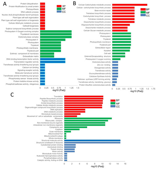 Transcriptomic and Physiological Analyses Reveal Potential Genes Involved in Photoperiod ...