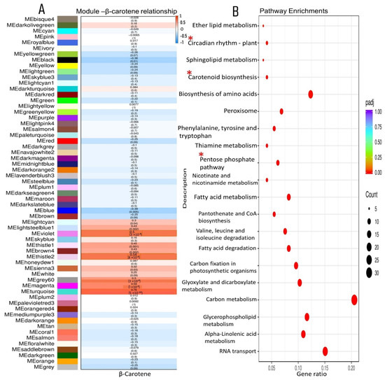 Transcriptomic and Physiological Analyses Reveal Potential Genes Involved in Photoperiod ...