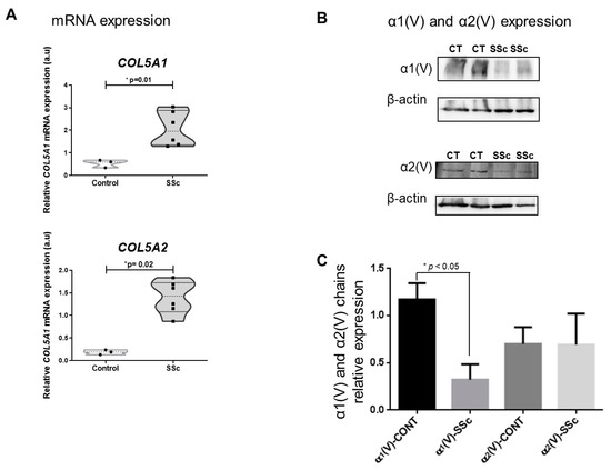 Collagen V α1 Chain Decrease in Papillary Dermis from Early Systemic ...