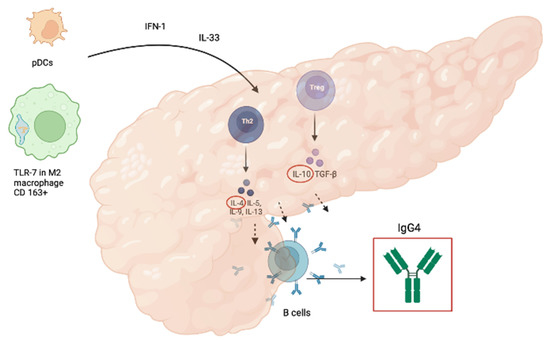 Autoimmune Pancreatitis: From Pathogenesis to Treatment