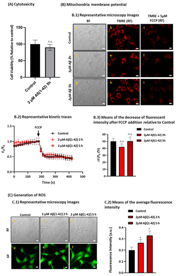Internalized Amyloid-β (1-42) Peptide Inhibits the Store-Operated ...