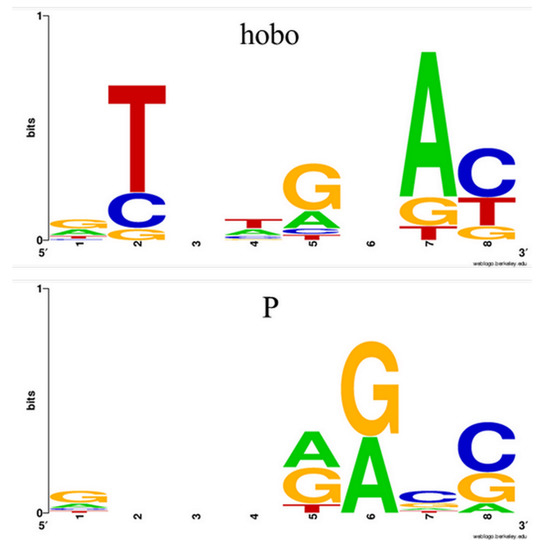 Genome ARTIST_v2—An Autonomous Bioinformatics Tool for Annotation of ...