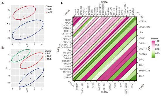 Classification of Subgroups with Immune Characteristics Based on DNA ...