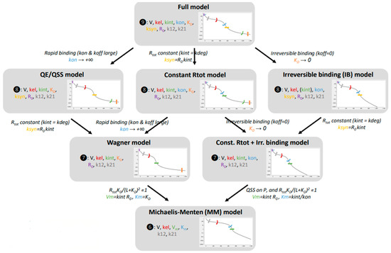 Review of the Existing Translational Pharmacokinetics Modeling ...