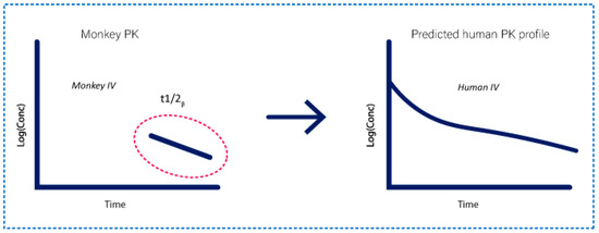 Review of the Existing Translational Pharmacokinetics Modeling ...
