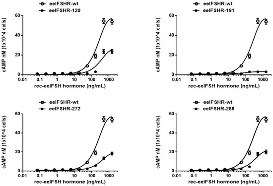 The N-Linked Glycosylation Site N191 Is Necessary for PKA Signal ...