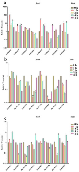 Genome-Wide Identification of Maize Protein Arginine Methyltransferase ...