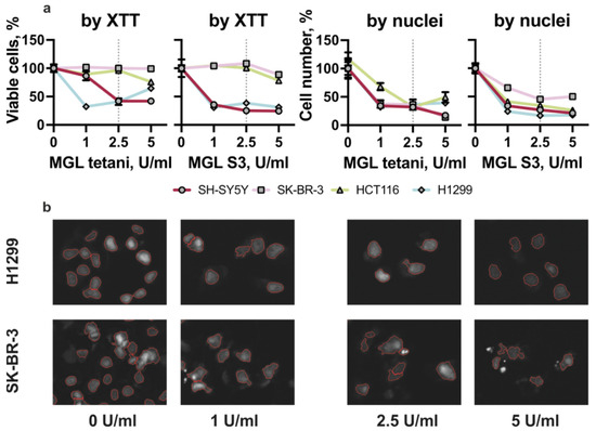 IJMS | Free Full-Text | MGL S3 Chimeric Enzyme Drives Apoptotic Death ...