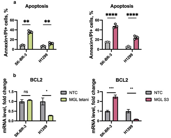 IJMS | Free Full-Text | MGL S3 Chimeric Enzyme Drives Apoptotic Death ...