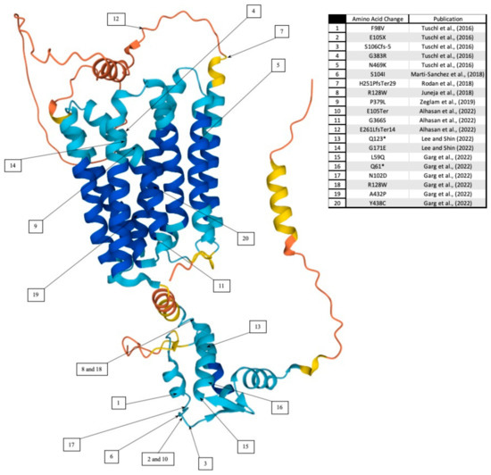 Hereditary Disorders of Manganese Metabolism: Pathophysiology of ...