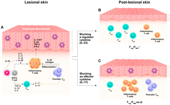 Could Targeted Pharmacotherapies Exert a “Disease Modification Effect ...