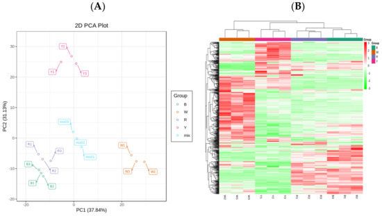 IJMS | Free Full-Text | Transcriptome and Metabolome Combined to ...