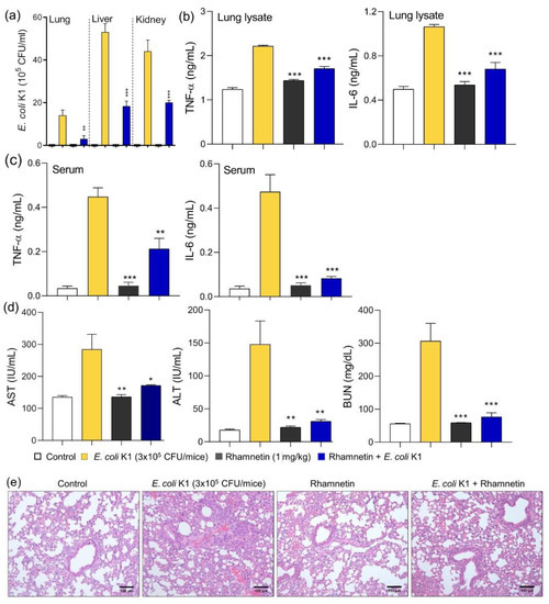 Rhamnetin, a Natural Flavonoid, Ameliorates Organ Damage in a Mouse ...