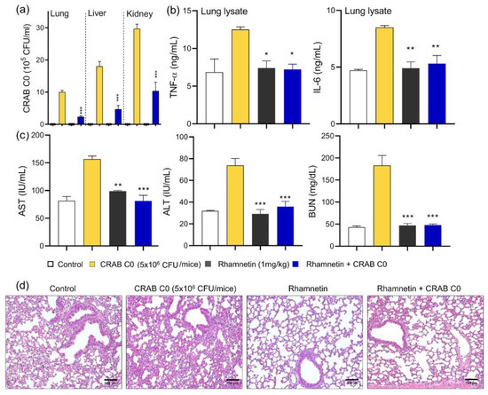 Rhamnetin, a Natural Flavonoid, Ameliorates Organ Damage in a Mouse ...