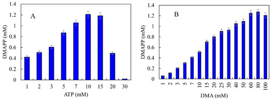 Functional Characterization and Screening of Promiscuous Kinases and ...
