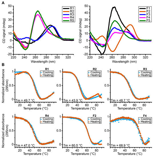 The Promoter Region of the Proto-Oncogene MST1R Contains the Main ...