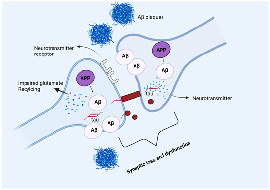 Amyloid Beta in Aging and Alzheimer’s Disease