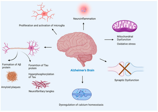 Amyloid Beta in Aging and Alzheimer’s Disease