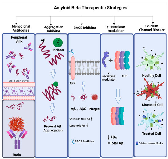 Amyloid Beta in Aging and Alzheimer’s Disease
