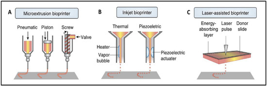 Decellularized Extracellular Matrix-Based Bioinks for Tendon Regeneration in Three-Dimensional ...