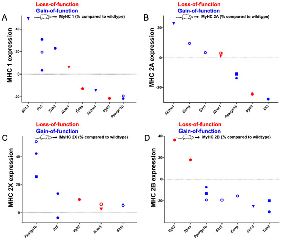 IJMS | Free Full-Text | Genes Whose Gain or Loss of Function Changes ...