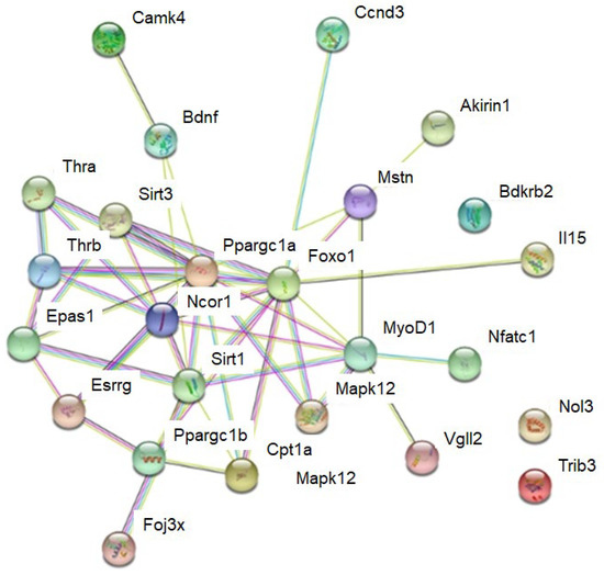 IJMS | Free Full-Text | Genes Whose Gain or Loss of Function Changes ...