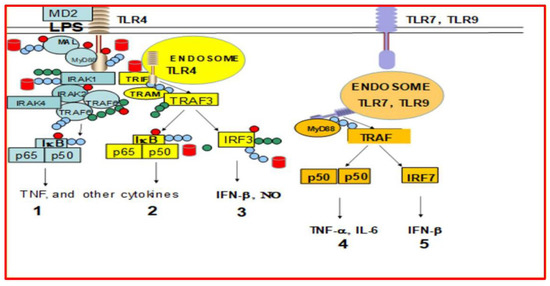 Reprograming of Gene Expression of Key Inflammatory Signaling Pathways ...