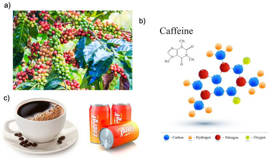 Neurodegenerative Diseases: Can Caffeine Be a Powerful Ally to Weaken ...