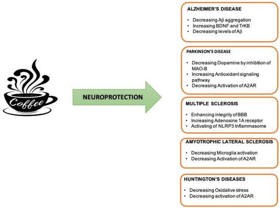 Neurodegenerative Diseases: Can Caffeine Be a Powerful Ally to Weaken ...